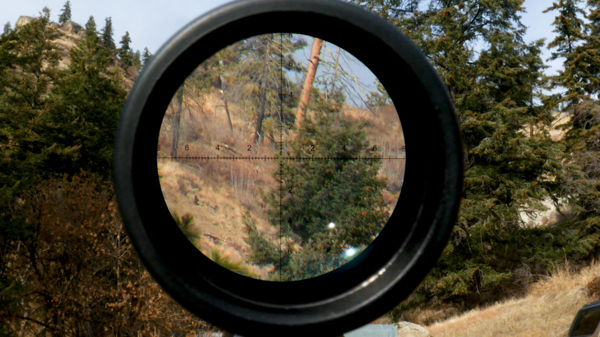 Athlon Midas TAC 6-24x50mm HD Riflescope: In-Depth Overview – Ultimate ...