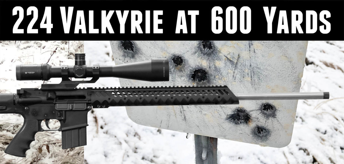 224 Valkyrie at 600 Yards: Bolt -vs- AR with Unexpected Results ...