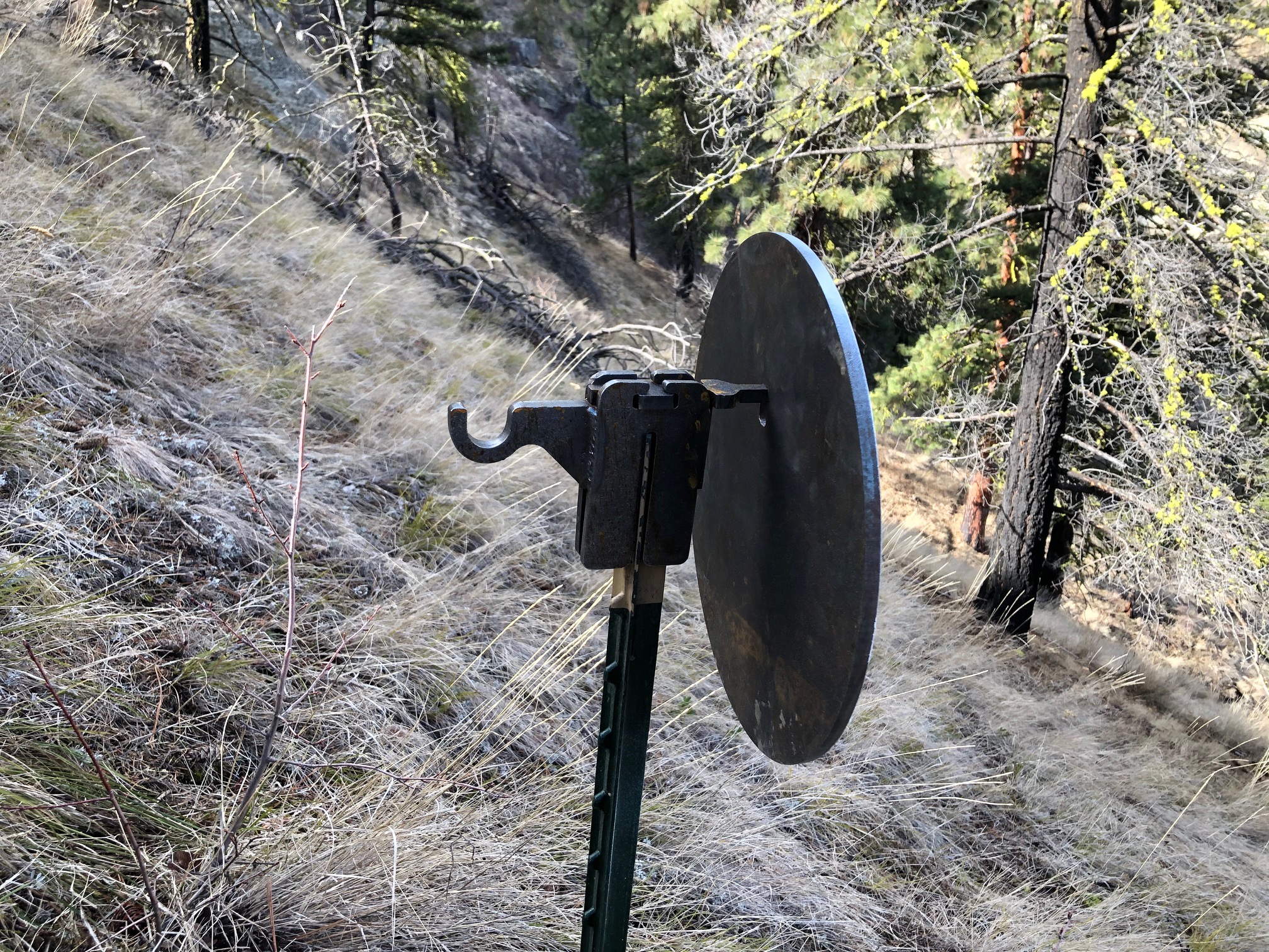 Spotlight on D-M Targets: AR500 Steel Targets and Hangers – Ultimate ...