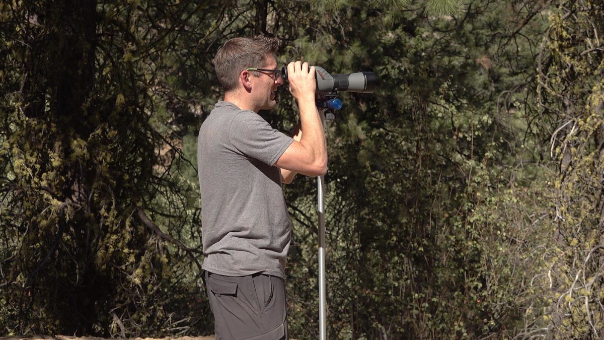 Creedmoor Polecat V2: Solid Spotting Scope Stand (Made in USA ...