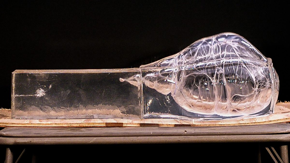 TESTED: Berger 133gr 25 Cal Elite Hunter Bullet – Ultimate Reloader