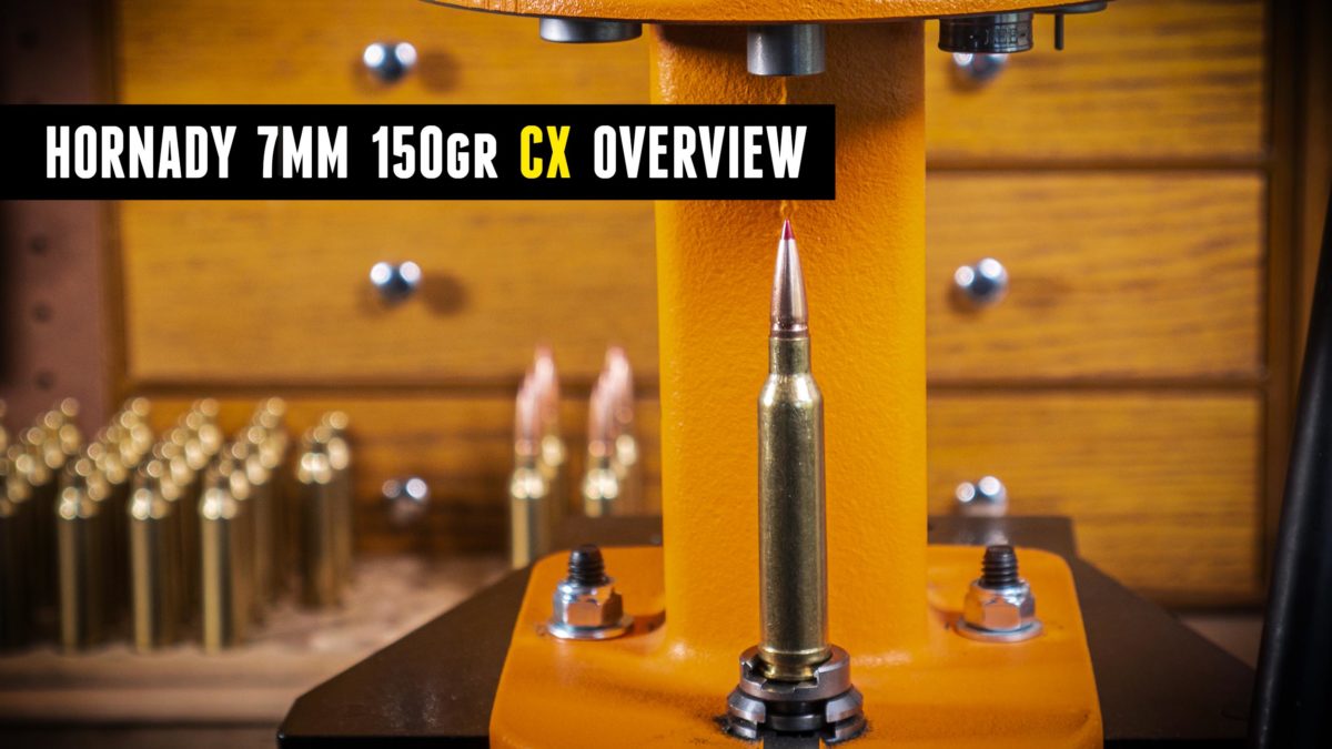 TESTED: Hornady 7mm 150 grain CX Bullets w/Ballistics Gel (7mm Rem Mag ...