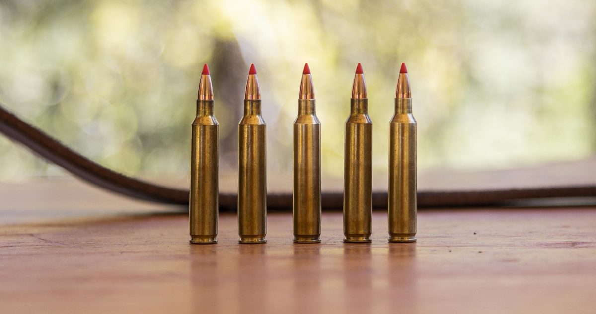 Have a Need for Speed? Try the 204 Ruger! – Ultimate Reloader