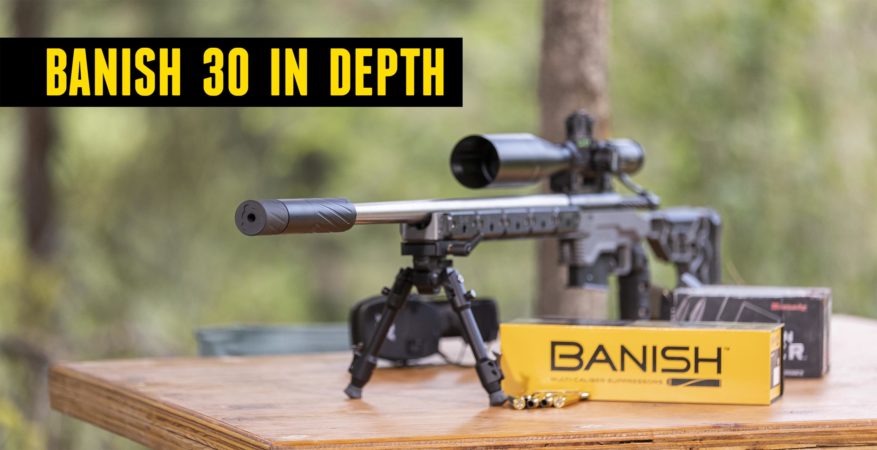 IN-DEPTH: BANISH 30 Multi-Cal Suppressor from Silencer Central ...