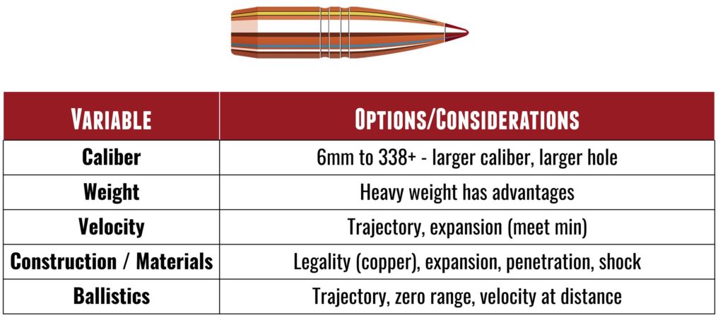 Bear Hunting A-Z – Ultimate Reloader
