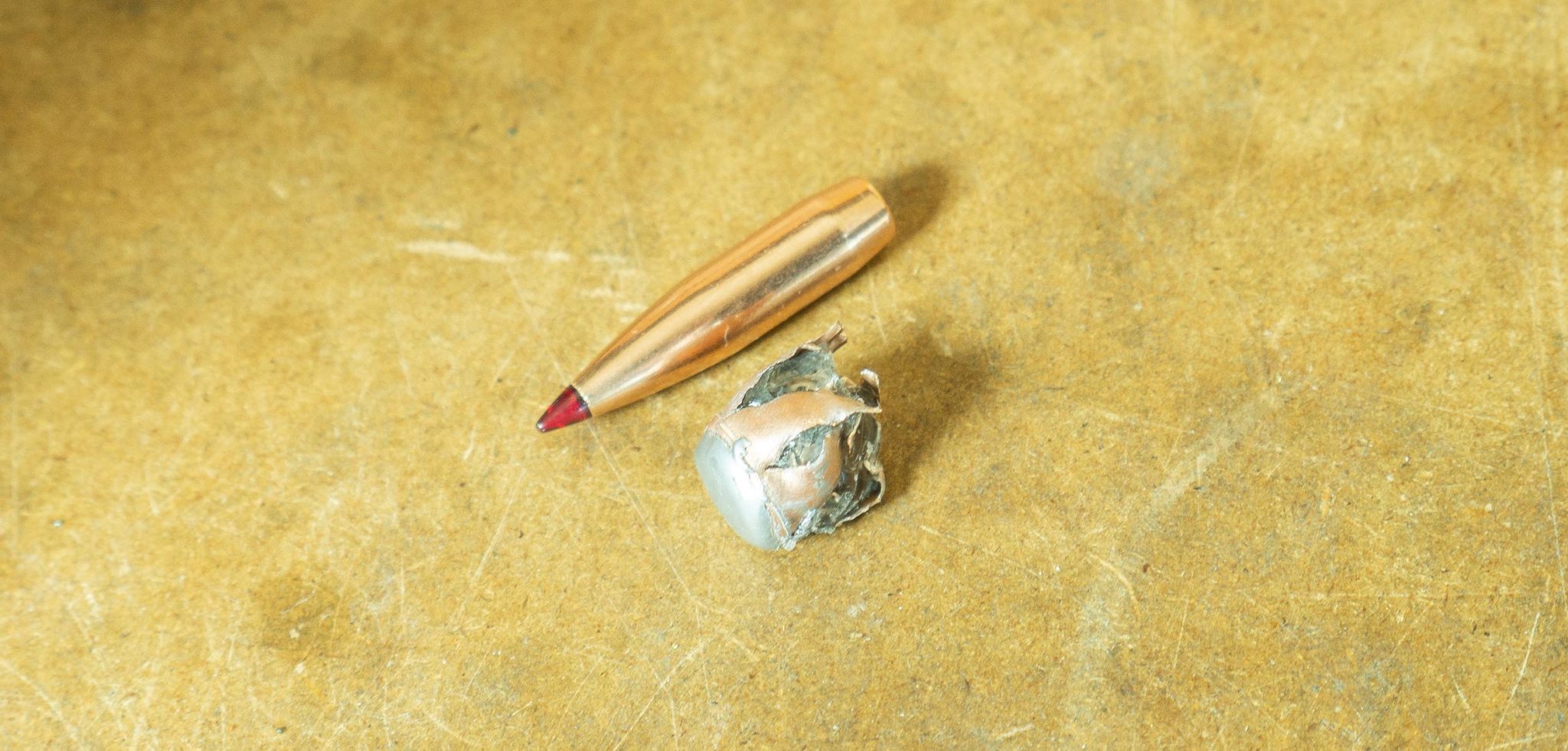Head-To-Head: 6.5 Creedmoor vs. 30-06 (Hunting) – Ultimate Reloader