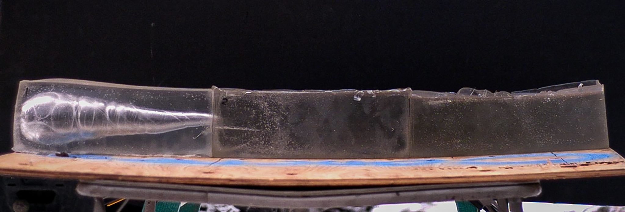 BEAR DEFENSE: 44 Mag vs 10mm Auto (Which is Better?) – Ultimate Reloader