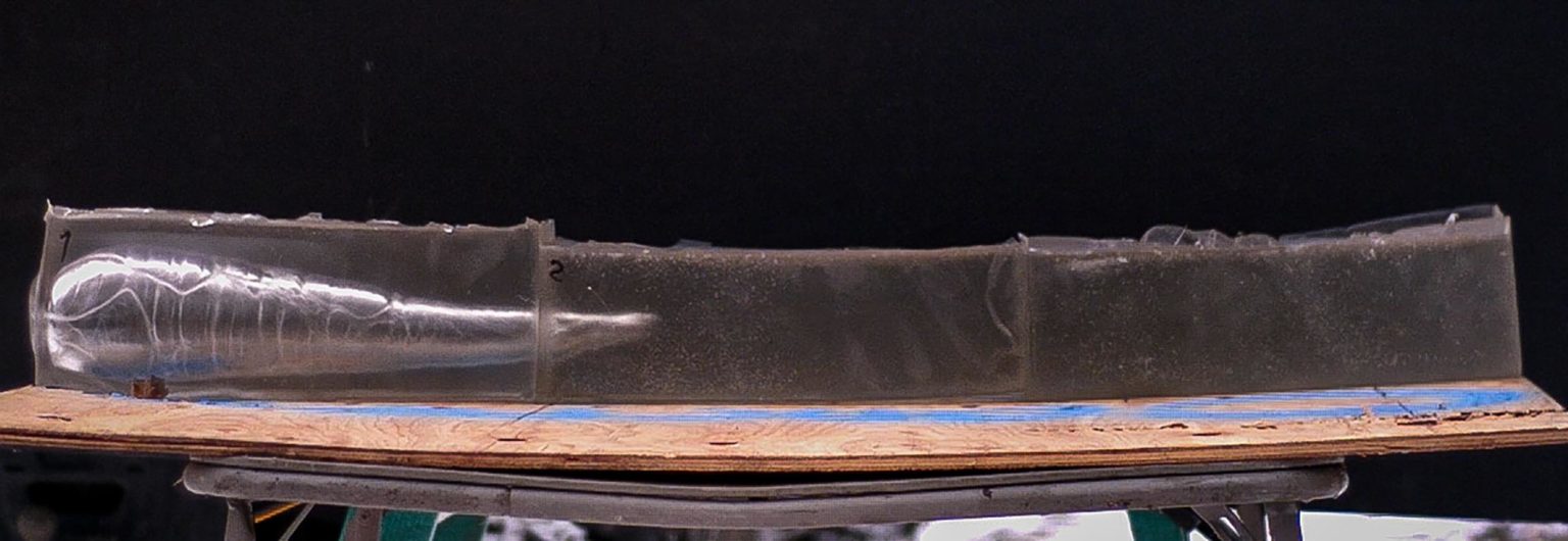 BEAR DEFENSE: 44 Mag vs 10mm Auto (Which is Better?) – Ultimate Reloader