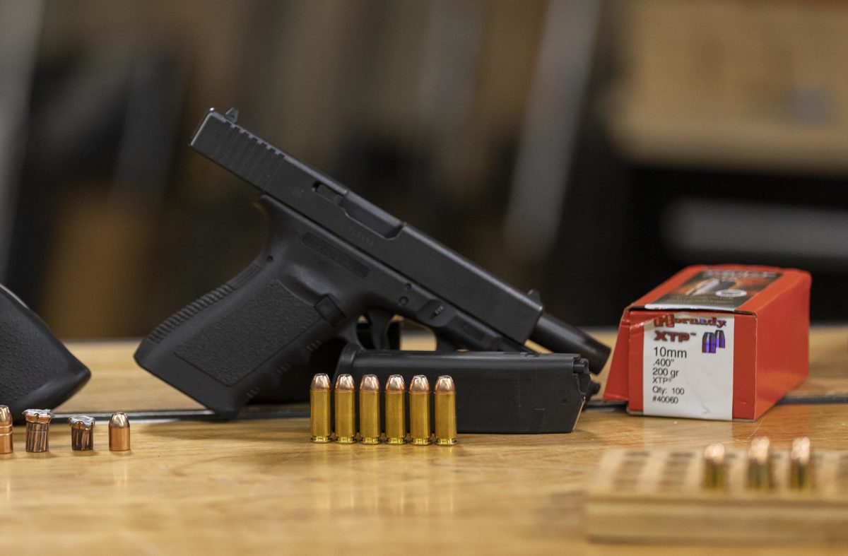 BEAR DEFENSE: 44 Mag vs 10mm Auto (Which is Better?) – Ultimate Reloader