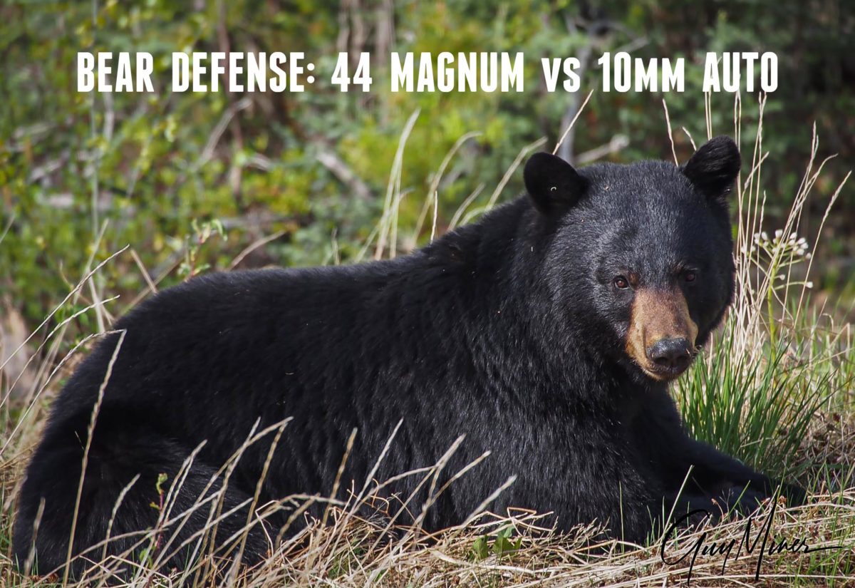 BEAR DEFENSE: 44 Mag vs 10mm Auto (Which is Better?) – Ultimate Reloader