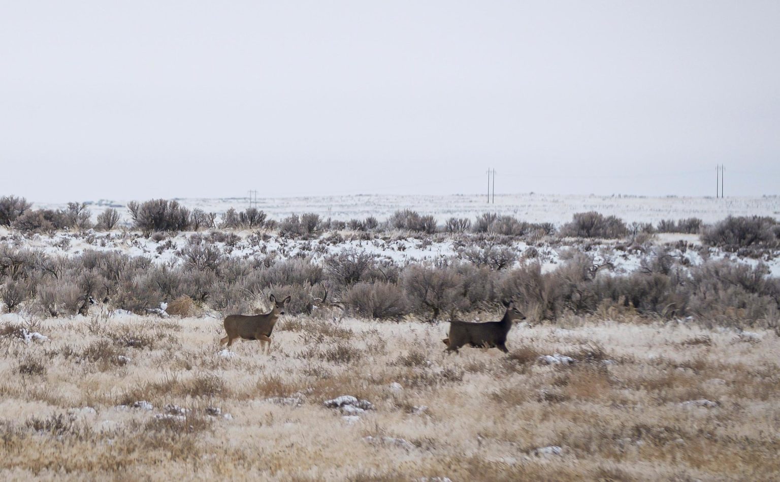 HUNTING: Henry 30-30 X-Model with Hornady 160gr FTX Bullets – Ultimate ...