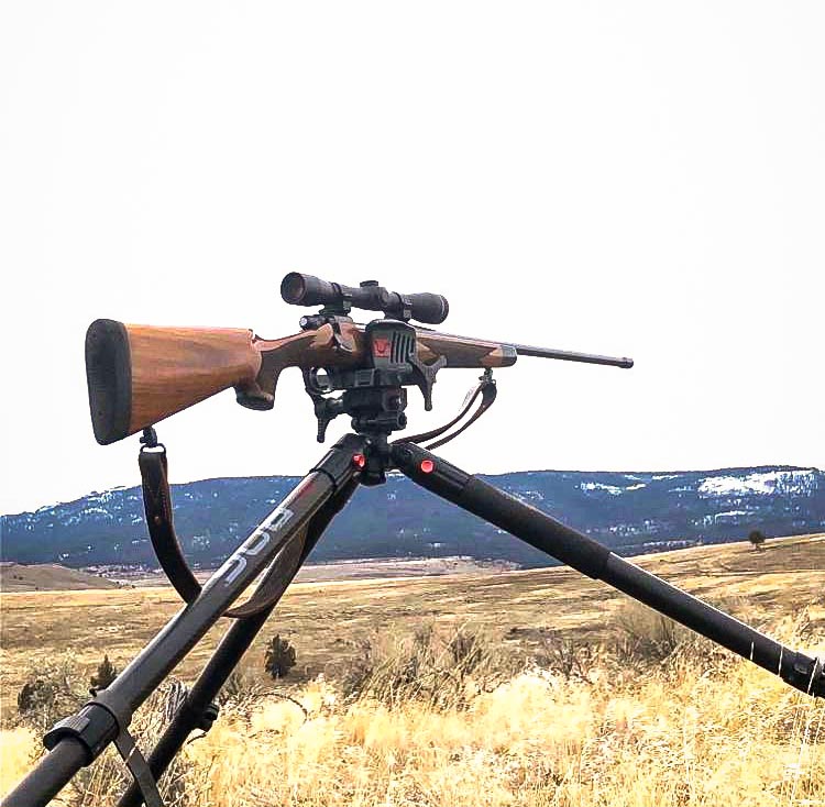 Success: Hornady 178gr ELD-X on Elk at 405 yards (30-06) – Ultimate ...