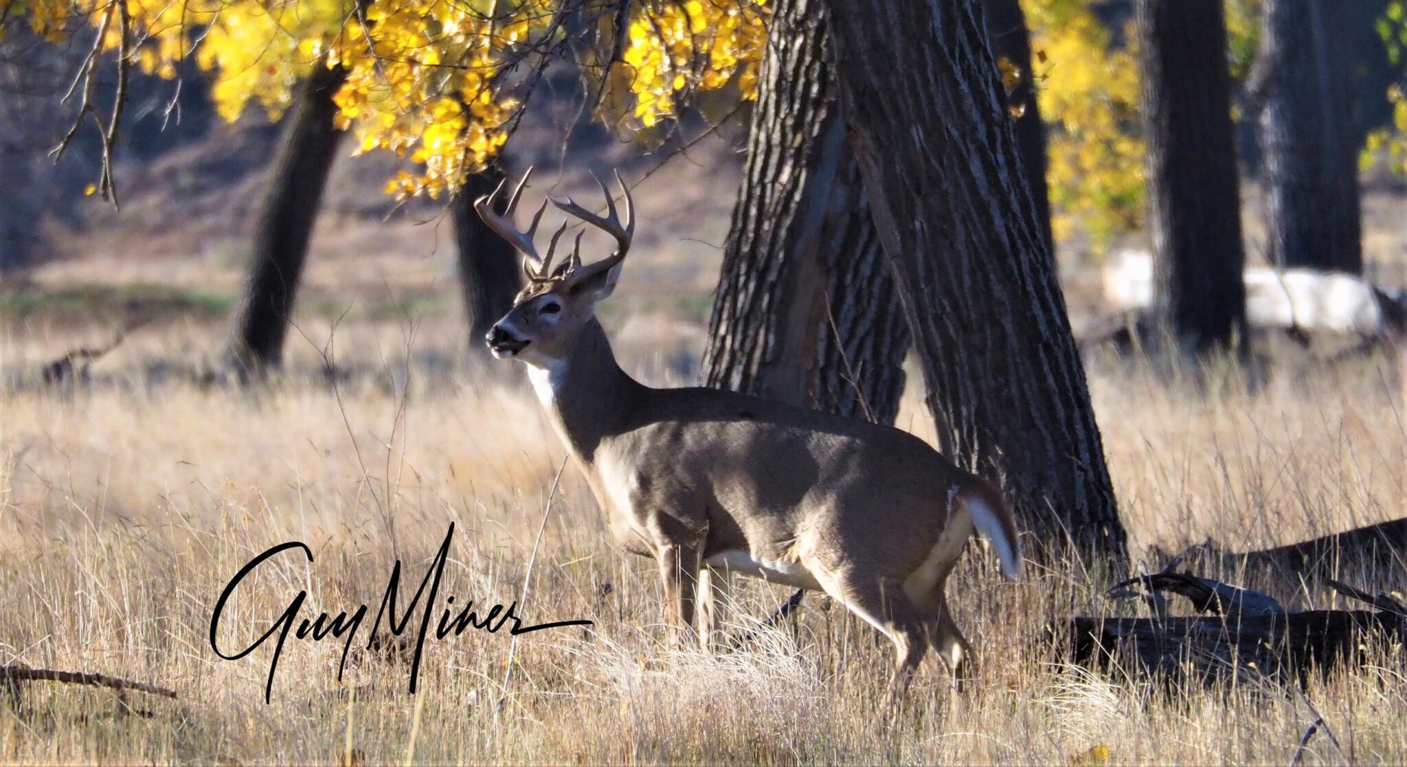 .308 Shorty Chronograph Data Comparison: 16″ vs 24″ Barrels! – Ultimate ...