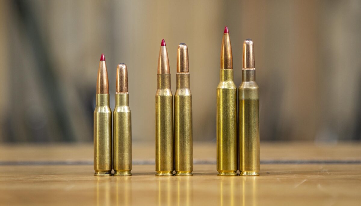 How to Choose a Hunting Bullet – Ultimate Reloader