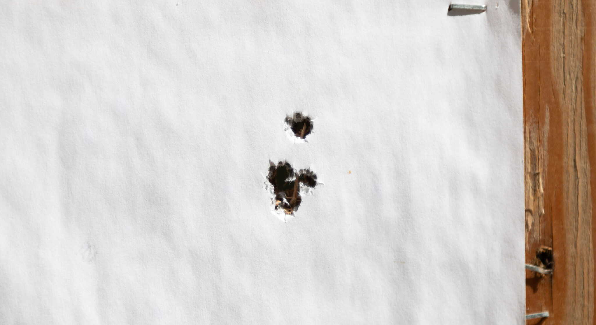 AMAZING 308 Subsonic Loads (and fun too) – Ultimate Reloader