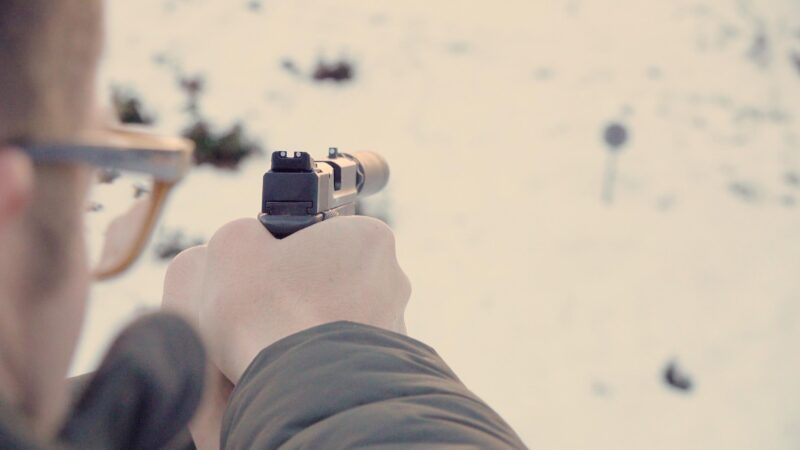 TESTED: Hollywood Quiet Suppressor from Silencer Central – The BANISH ...