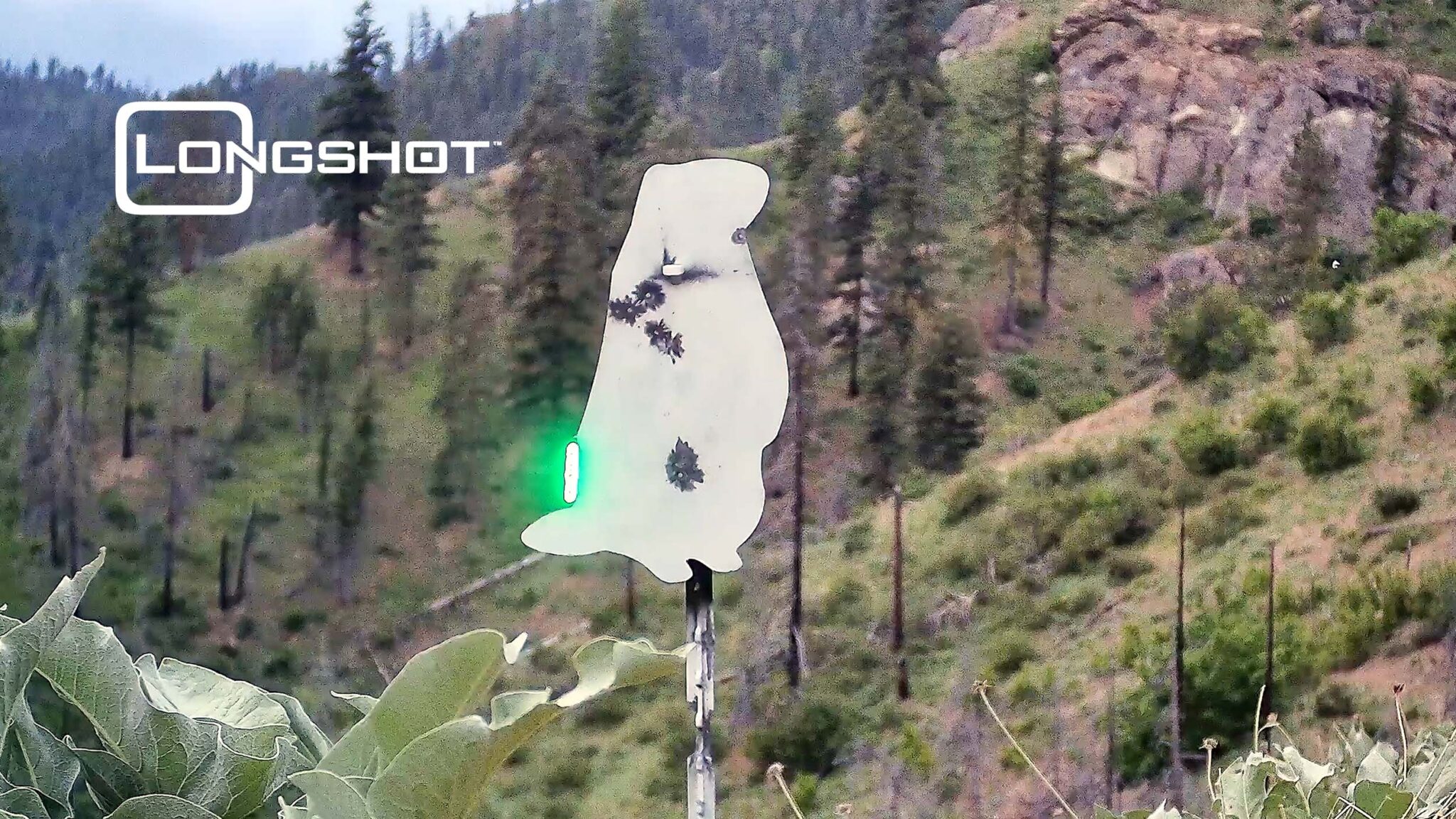 Flashbangs from Caldwell! (Awesome Target Hit Indicators) – Ultimate ...