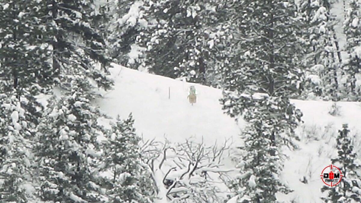 Flashbangs from Caldwell! (Awesome Target Hit Indicators) – Ultimate ...