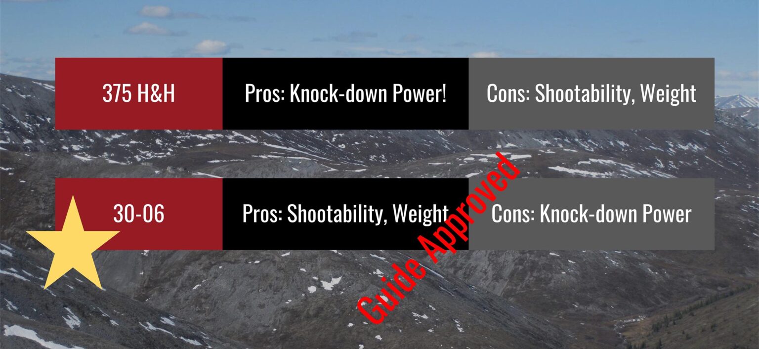 Less is More? Using a SMALLER Cartridge for Grizzly, Why? (30-06 vs 375 ...