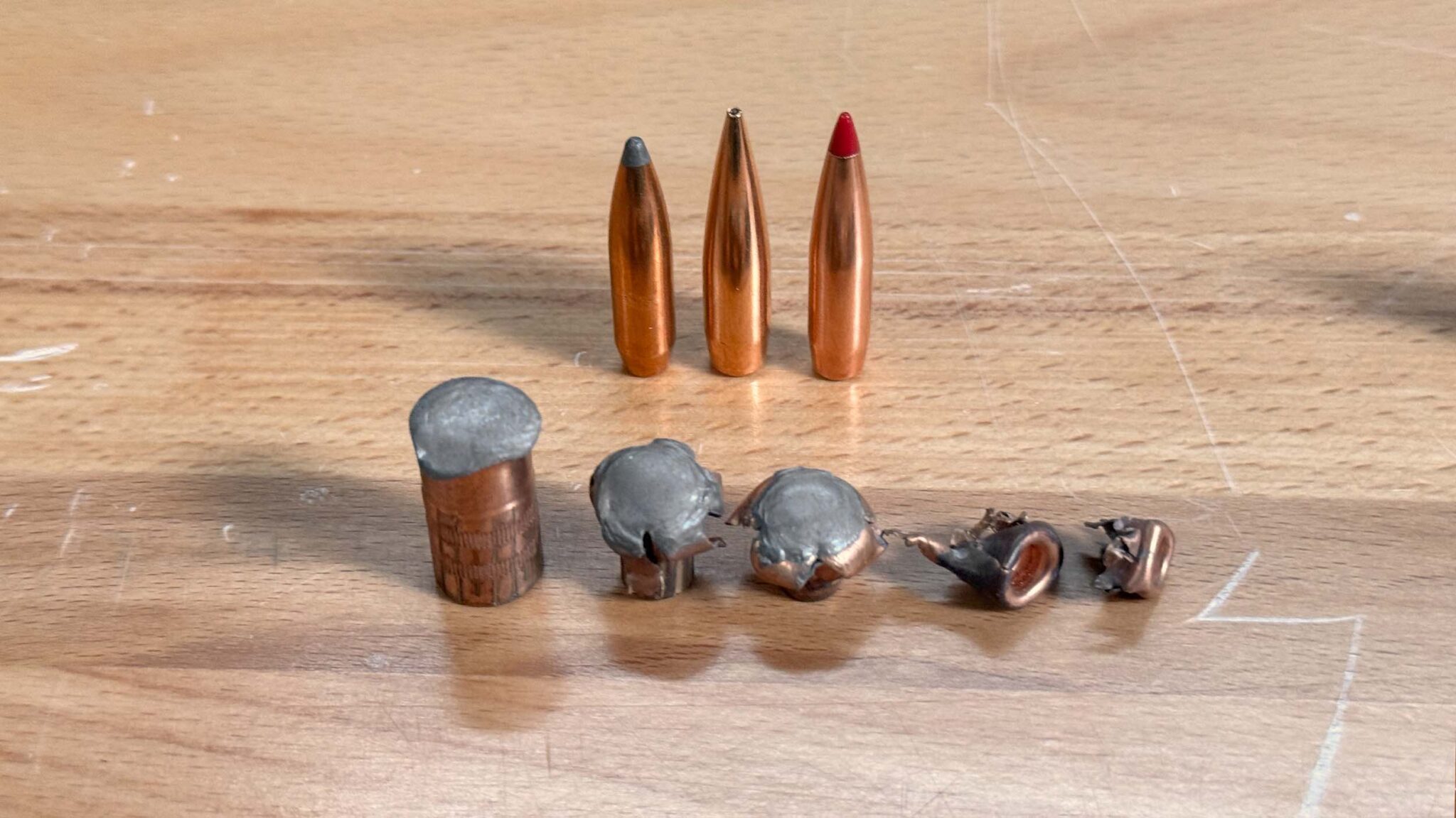 How to Choose a Hunting Bullet – Ultimate Reloader