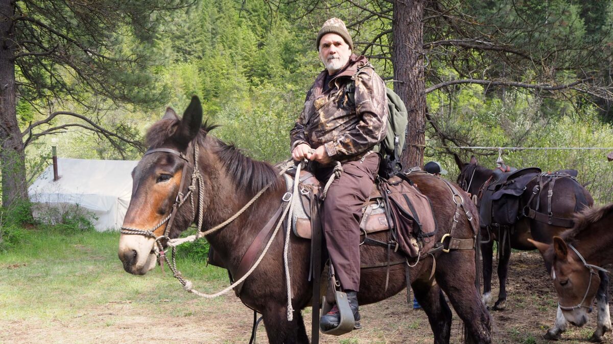 Should you Hunt Bear with Copper? (Guy’s Back Country Bear Hunt) – Ultimate Reloader - Defense ...