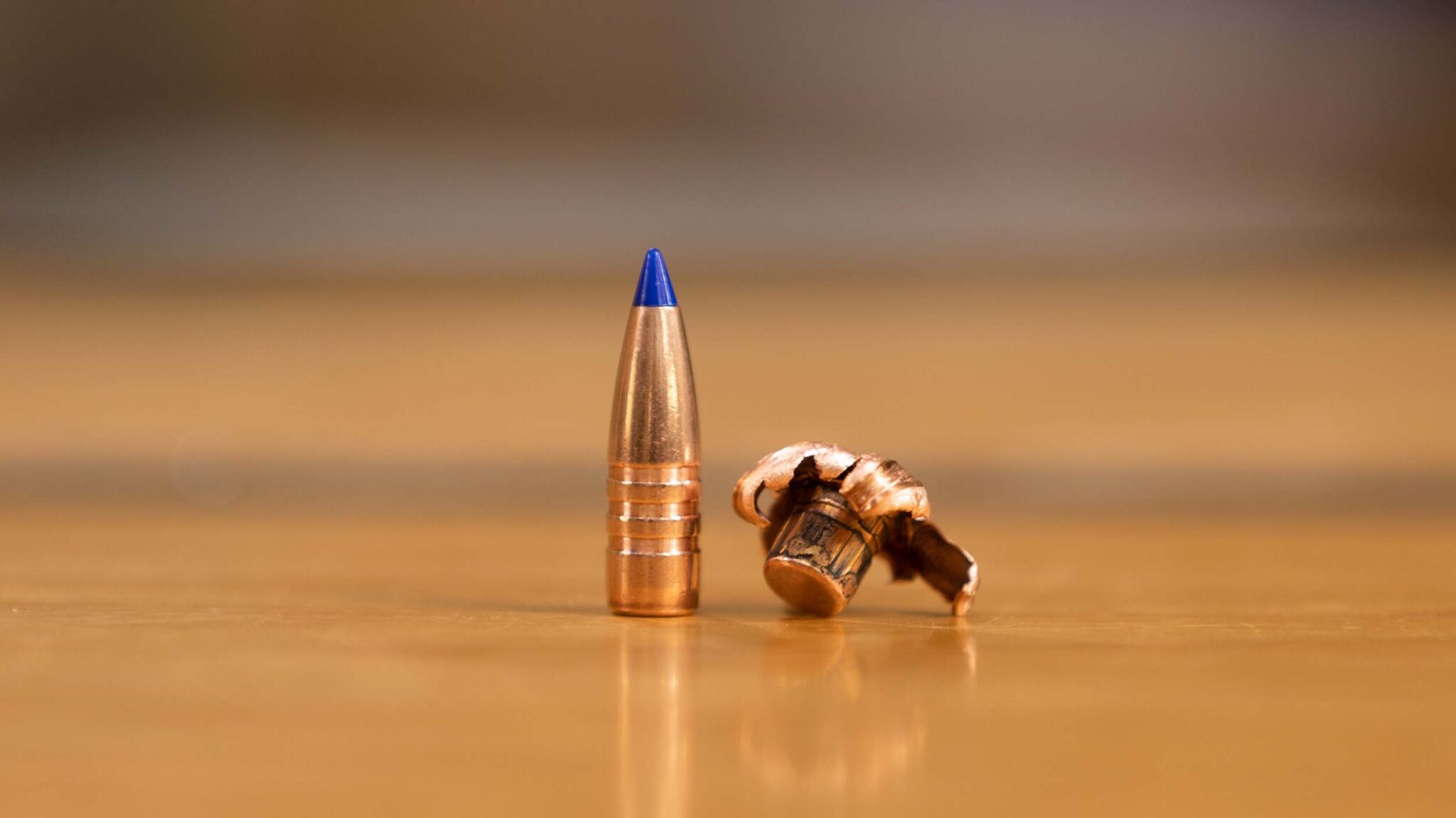 How to Choose a Hunting Bullet – Ultimate Reloader