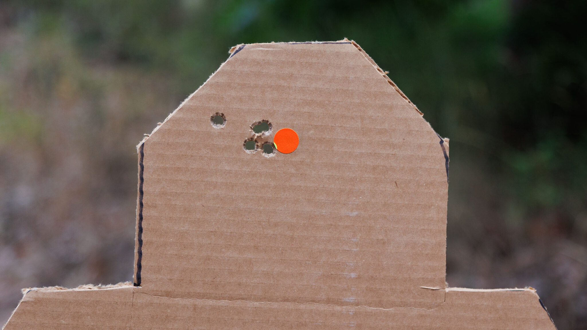 Full Power Practice Loads with Berry’s 200 Grain 10mm Flat Point Thick ...