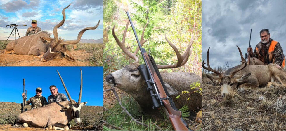 Should You Hunt with Bergers? – Ultimate Reloader