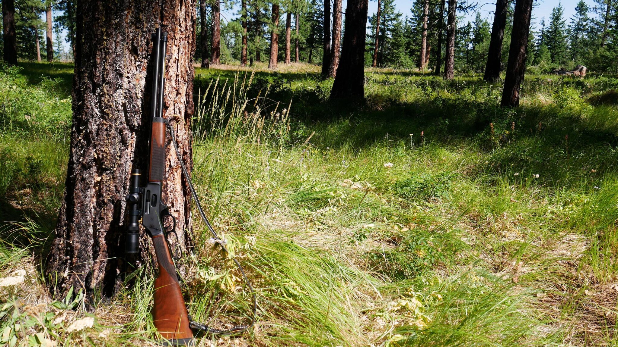 Compared: .360 Buckhammer vs .30-30 Winchester – Ultimate Reloader