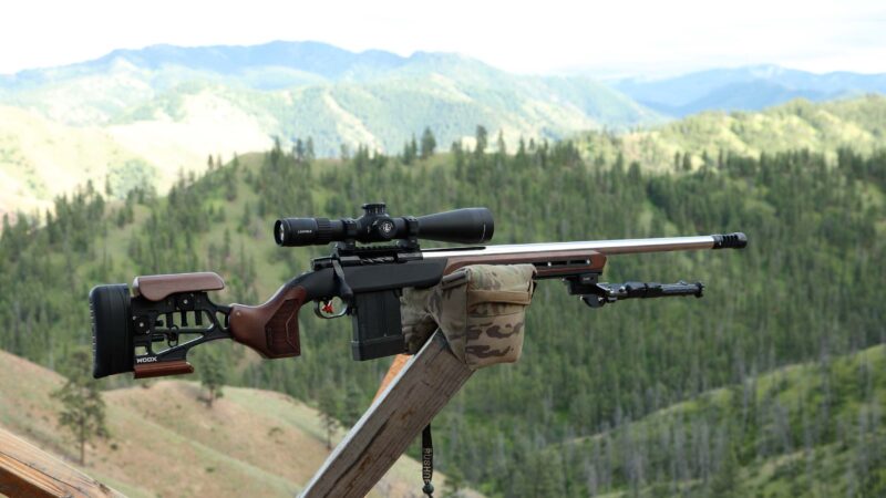 Evolution of the BAT Hammerhead! – Ultimate Reloader