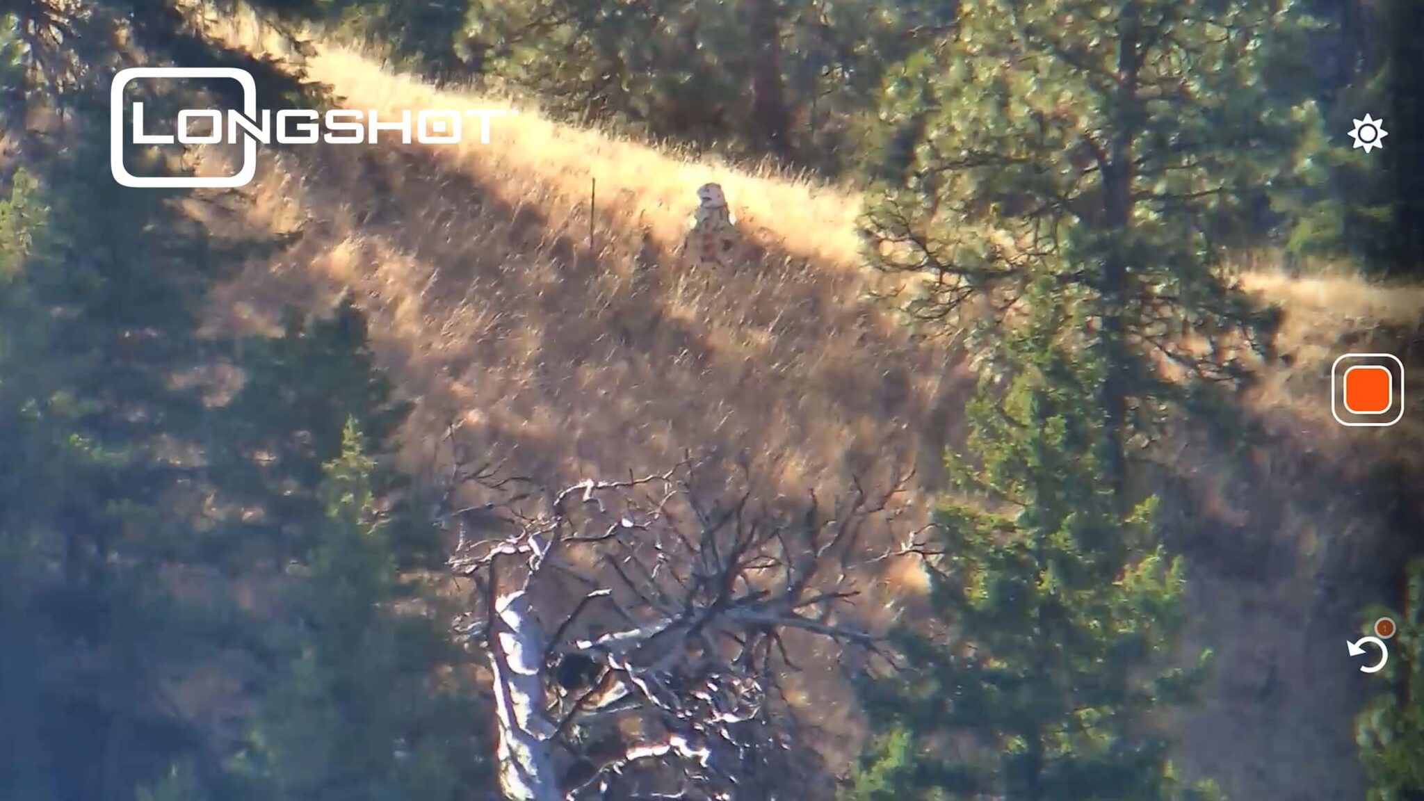 NEW Budget Camera System: Longshot Ranger+ Hands-On – Ultimate Reloader