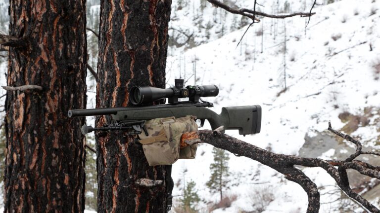 The NEW Bergara BMR-X .22LR: Precision Rimfire Rifle – Ultimate Reloader