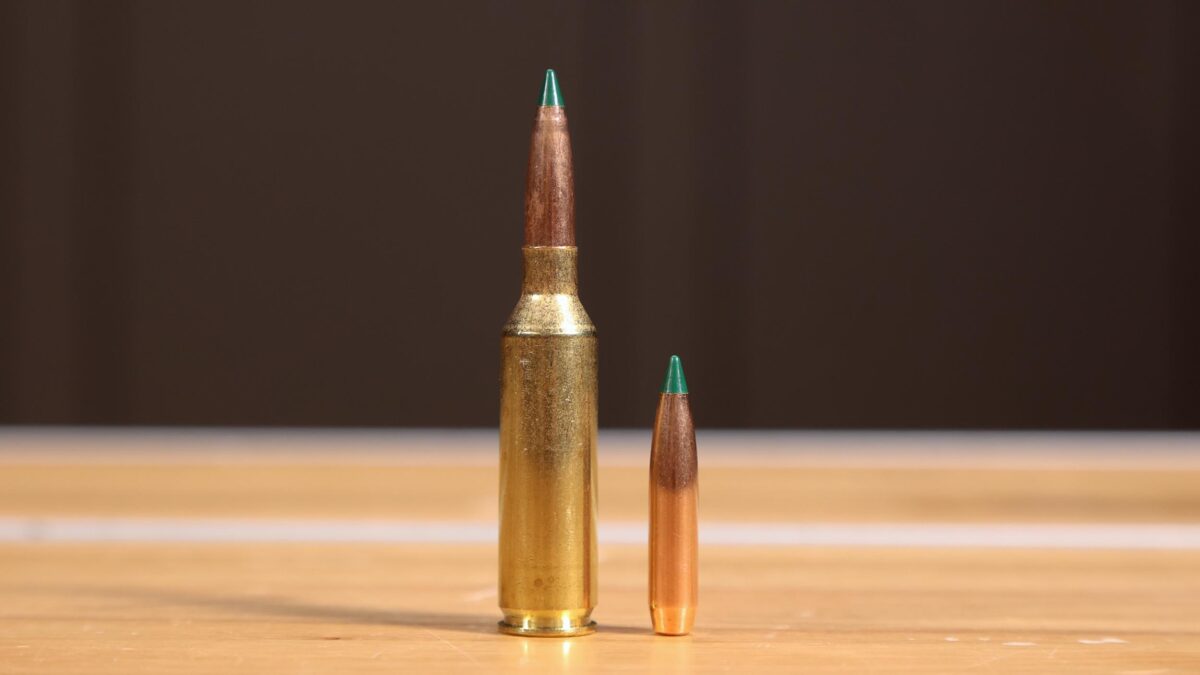 NEW: Sierra 145 Gr. 6.5mm Tipped GameKing – Ultimate Reloader