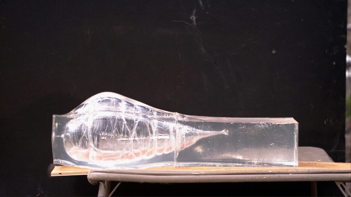 NEW: Sierra 145 Gr. 6.5mm Tipped GameKing – Ultimate Reloader