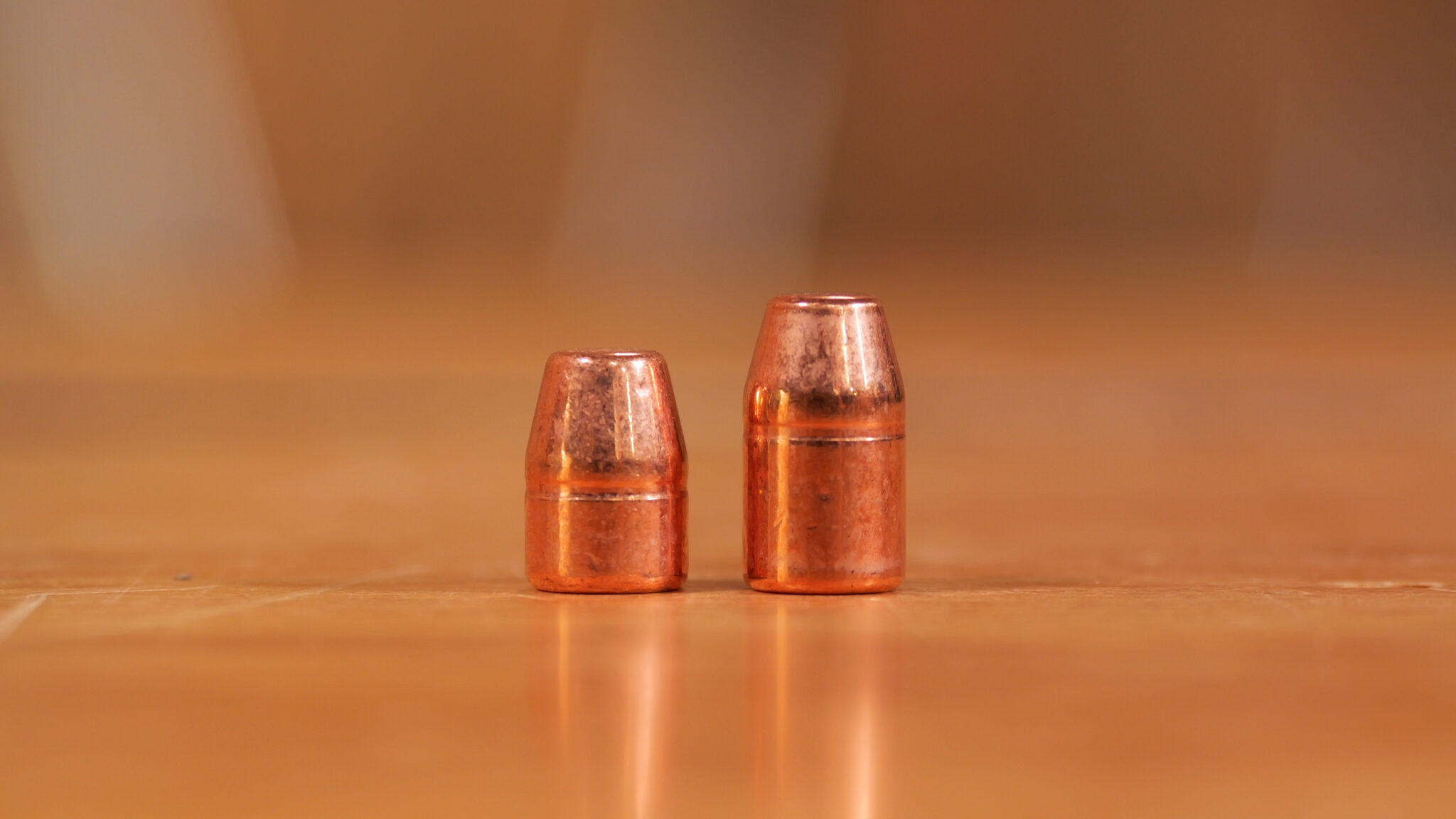 Best Bang for Your Buck: 357 Magnum with Berry’s Bullets – Ultimate ...